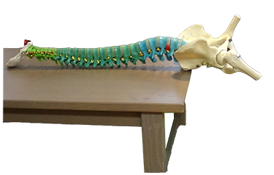 The Dorn Method - Dorn Method Selfhelp Exercises Hip and Sacrum